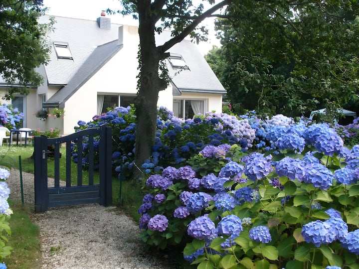 Chambre D'hôtes - Les Hortensias - Perros-Guirec
