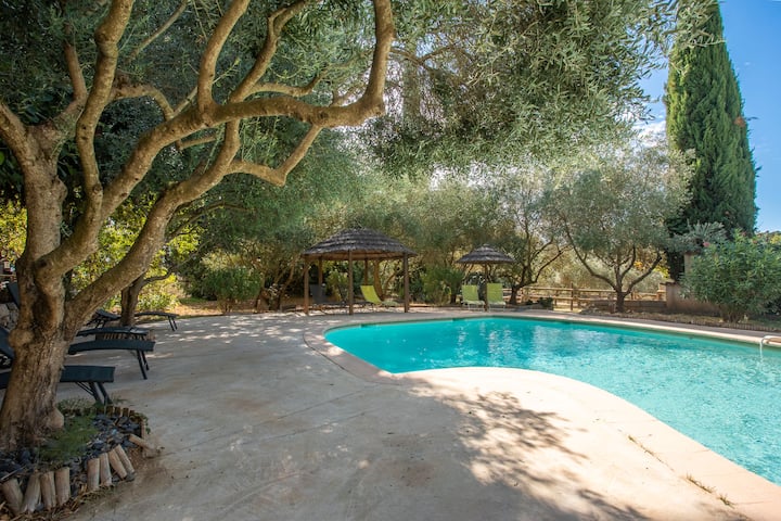 Kenya - ÉCuries Du Mas Di Gau - Brignoles