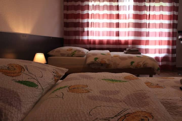 Studio Near Basel Airport (Rm 1182) - Basilea