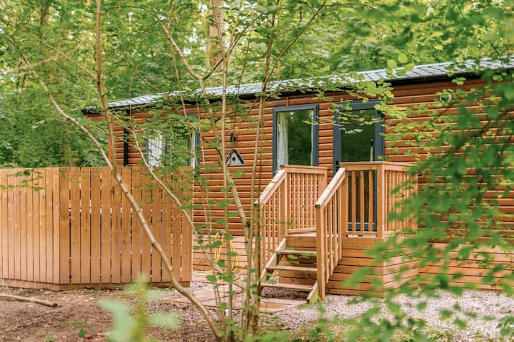 Alford Spa, Kenwick Woods - Louth