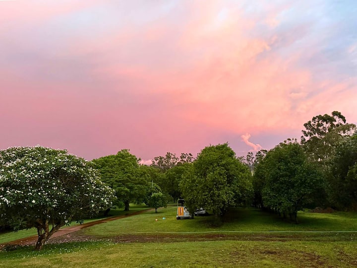 Under The Velvet Sky By Tiny Away - Gympie