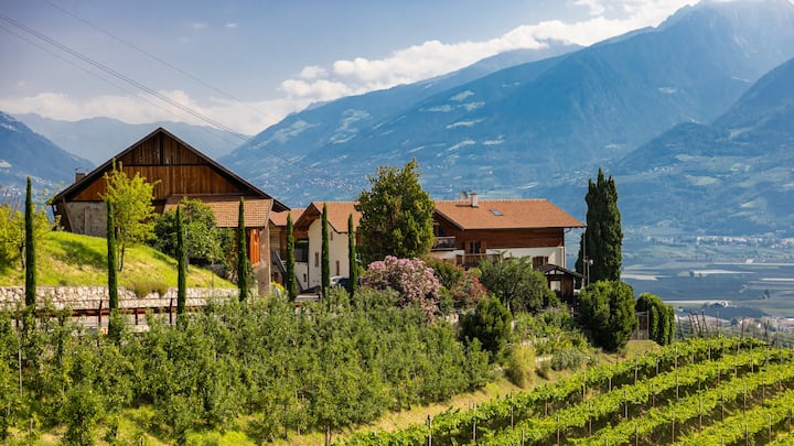 Greiterhof Weingarten - Lana