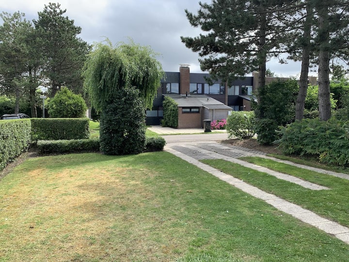 Lepelblad 33* - Cadzand