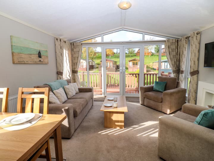 Dragonfly - Catterick