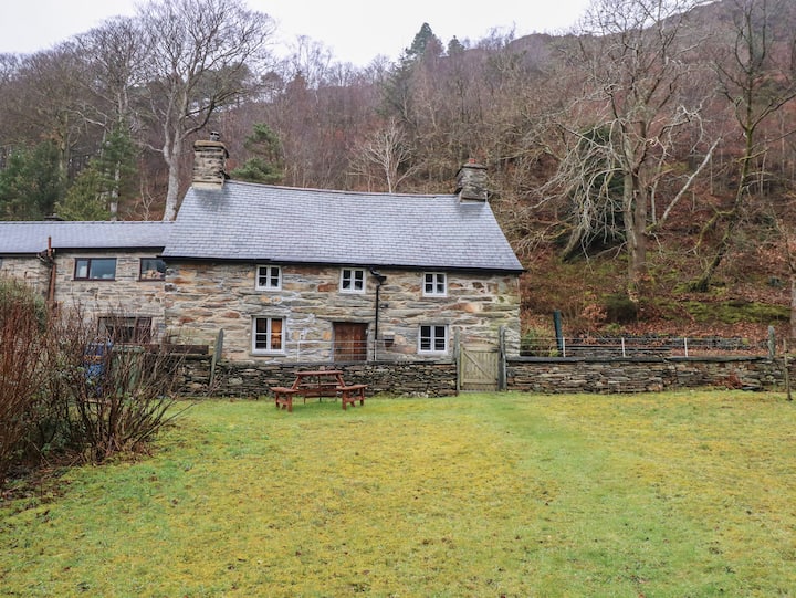 Tafarn Trip - Beddgelert