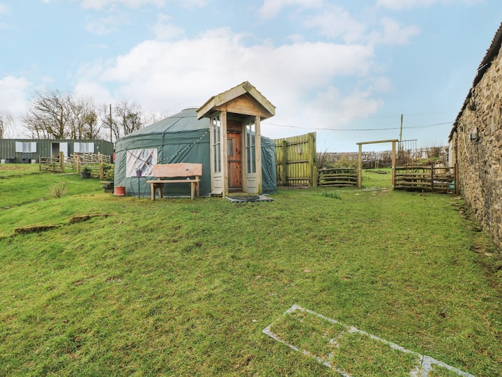 Blaidd Bach - Carmarthen