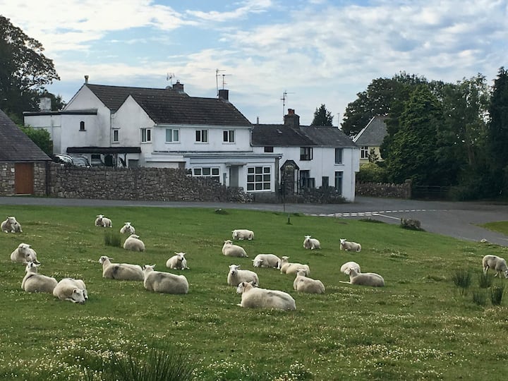 Florida Cottage - Rhossili