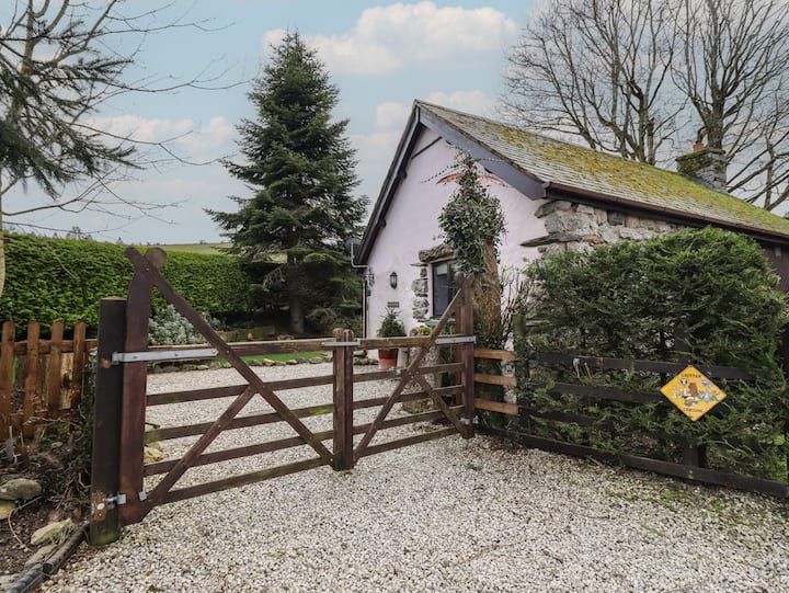 Hafoty Boeth Cottage - Ruthin