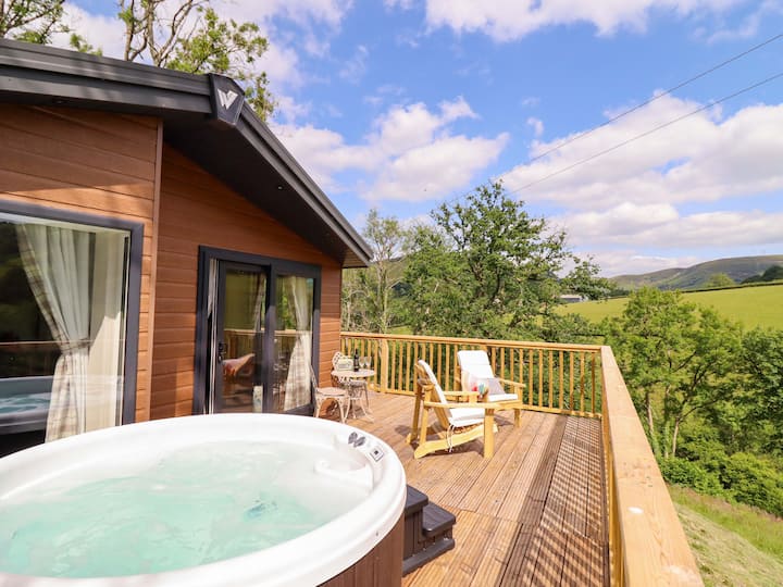 The Owlet - Llanidloes