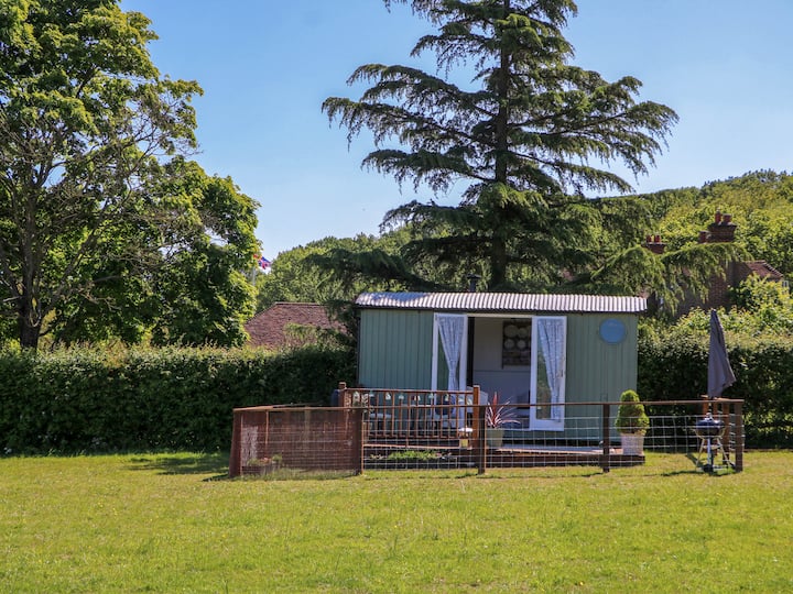 Songbirds - Tenterden