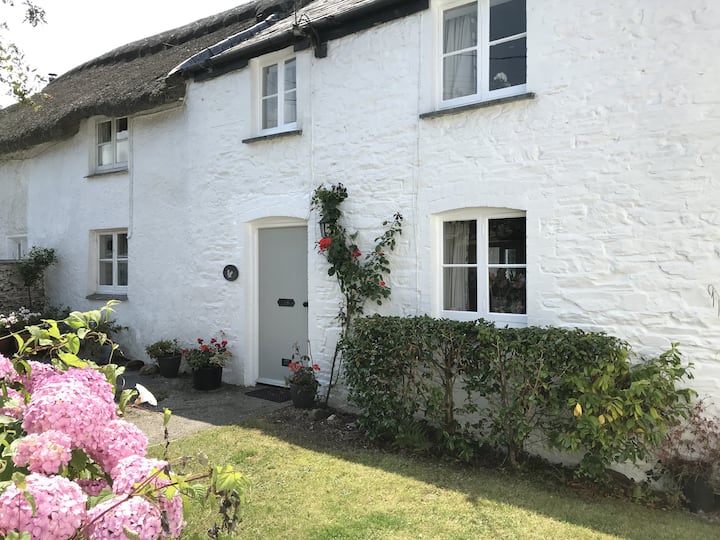 Trevean - Crackington Haven