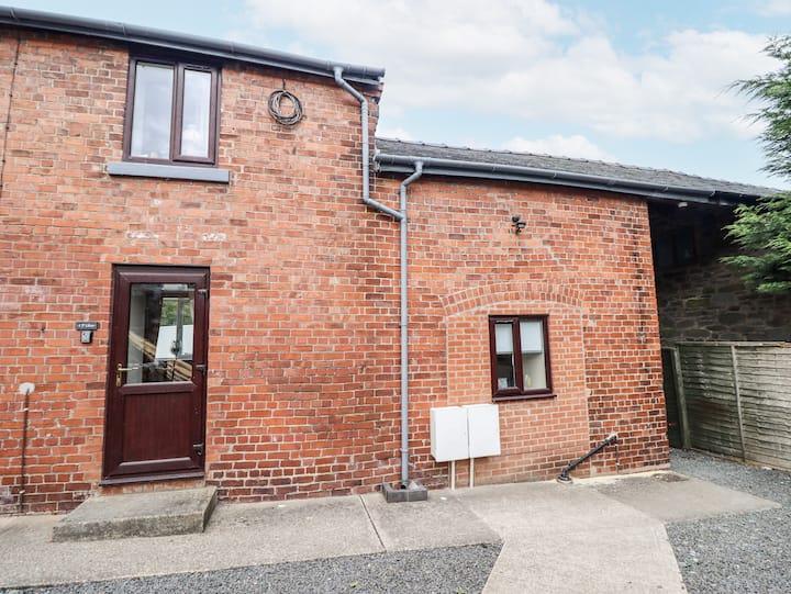 1 Y Llew - Llanidloes