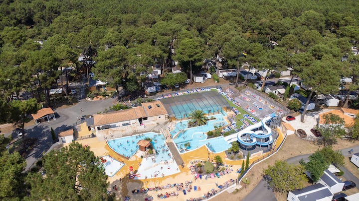 Palmyre - Tribu - 13p 1 - Royan