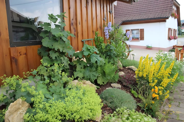 Ferienwohnung Boch Schluchsee - Schluchsee