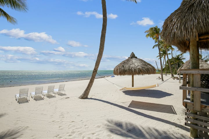 Spectacular 2br Oceanfront Dog Friendly | Dock - 라이턴