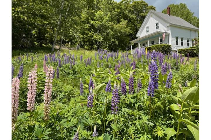 Hillside Respite By Sea Maine - Boothbay Harbor, ME
