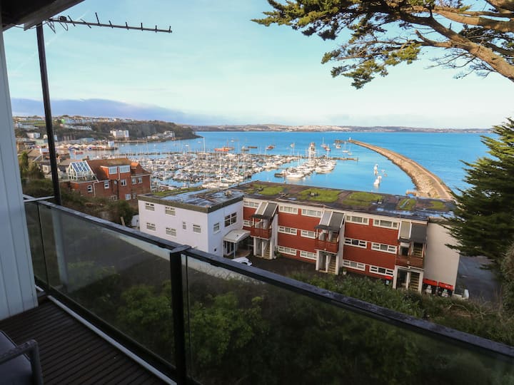 Snowy Owl View At The Breakwater - Brixham