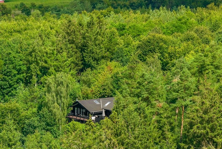 Forest Cabin Overlooking Bryrup Langsø - Denmark