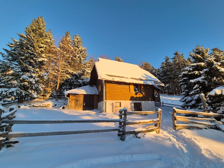 Holiday Cottage Pod Smreko In Ambrož Pod Krvavcem - Logarska Dolina