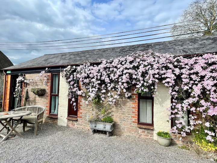 Honeypot Cottage - Bridport