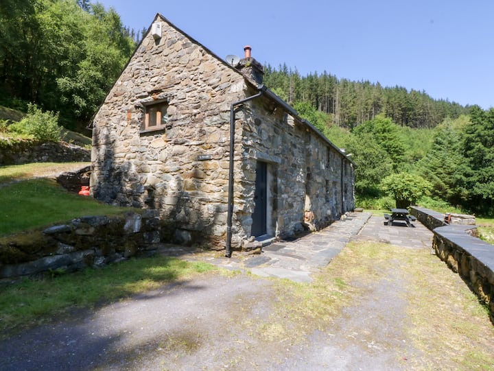 Ty Newydd - Betws-y-Coed