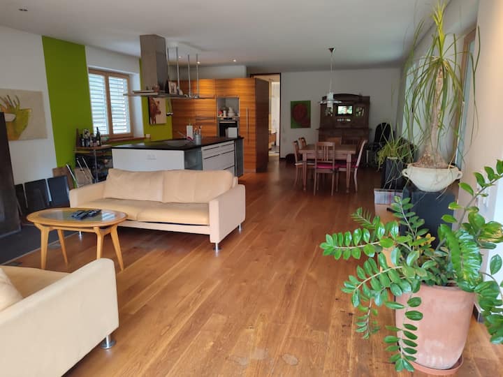 Loft Mit Kamin Und Whirlpool - Lustenau