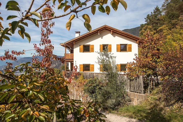 Pföslhof Obstgarten - Bolzano