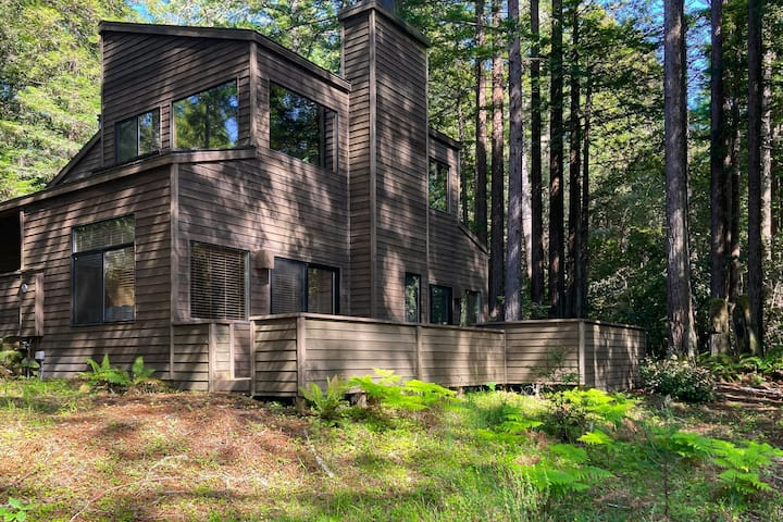 2br Forest Retreat W/forest View, Close To Hiking - Sea Ranch, CA