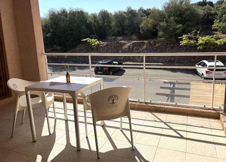 Saint-florent Studio Terrasse Piscine - Saint-Florent