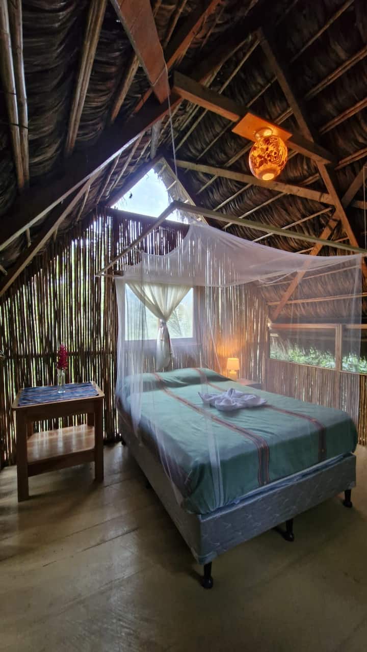 Cacao Center + Eco Cabins + Nature Immersion - Lanqúin