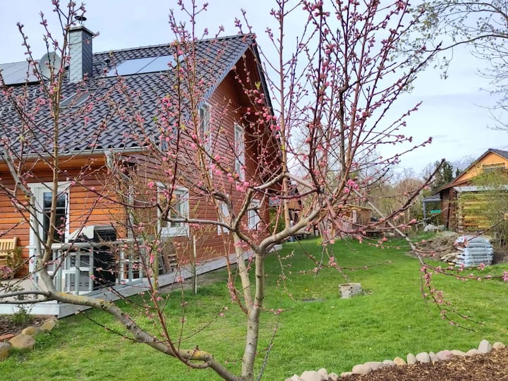 Holiday Apartment In The Wooden House - Buckow