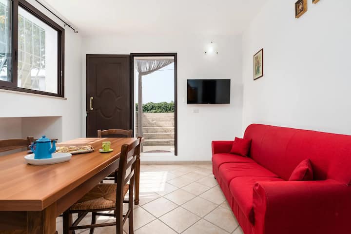 Su Nidu Virde - Ginepro - Orosei