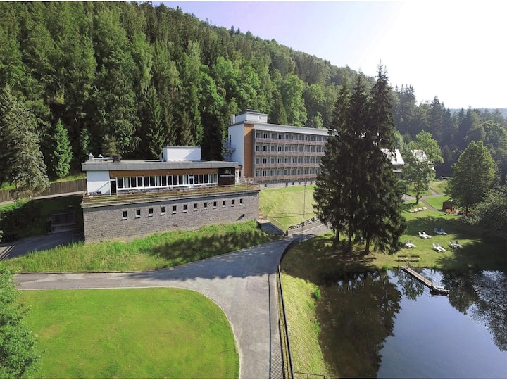 Chambre Double Avec Vue Sur La Forêt Sans Balcon - Markneukirchen