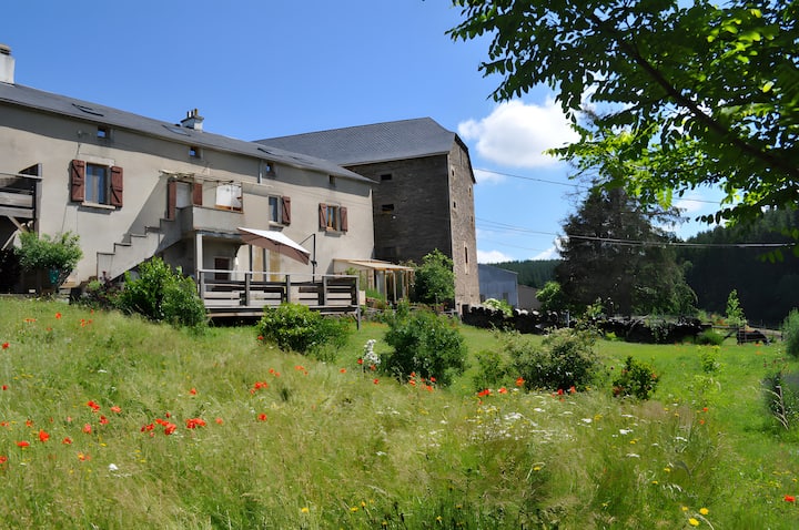 Gite Les 2 Chouettes - Lac de Pareloup