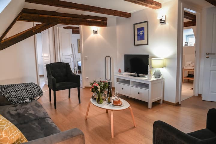 Le Hameau D'eguisheim Gîte Léon - Eguisheim