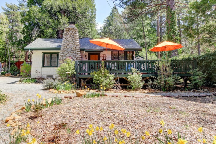 Well-appointed 2br Mountainview Dog Friendly - Idyllwild-Pine Cove, CA