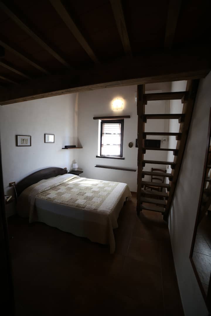 Il Vignone - A1 - Castagneto Carducci