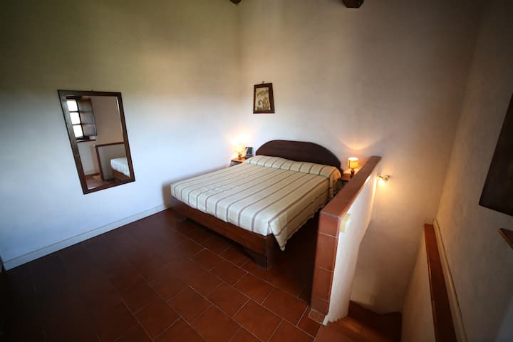 Il Vignone - B1 - Castagneto Carducci