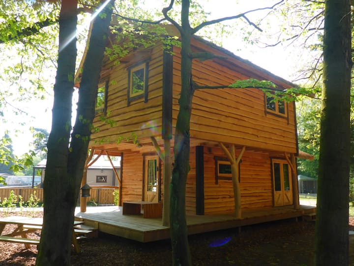 Boshuis Dora Met Escapespel | D'n Mastendol - Tilburg