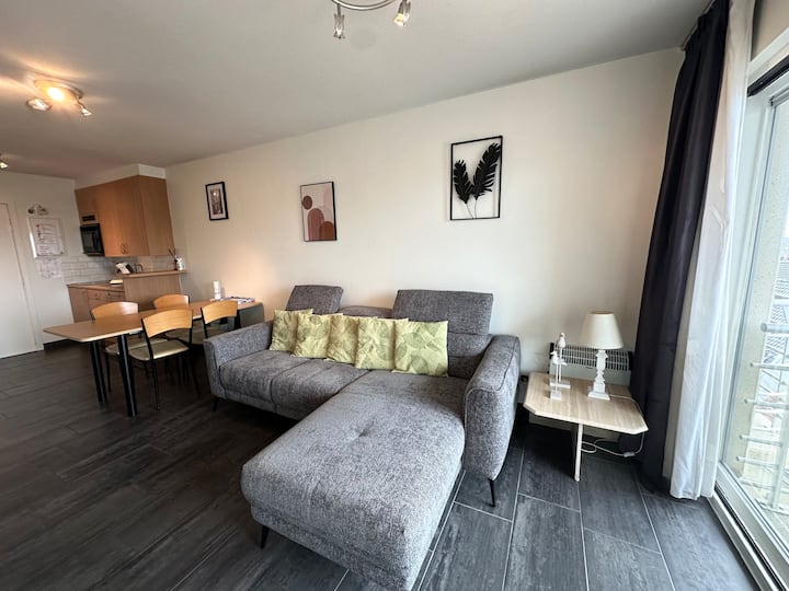 Appartement Ensoleillé Avec Vue Sur La Mer - Blankenberge