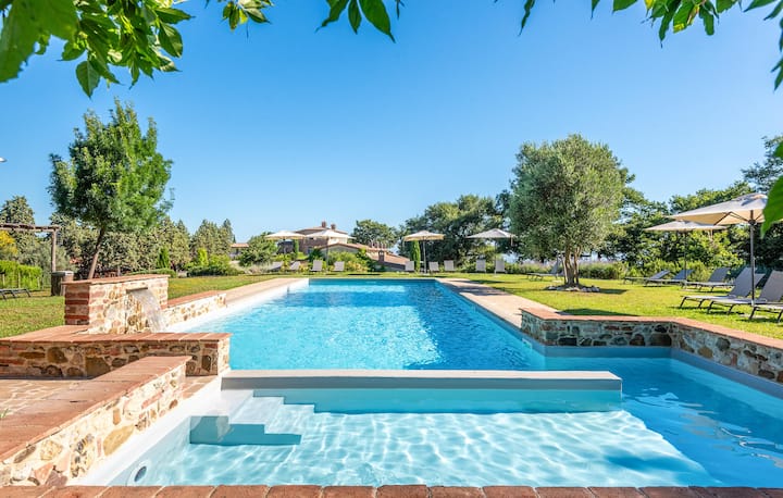 Olivo - Montepulciano