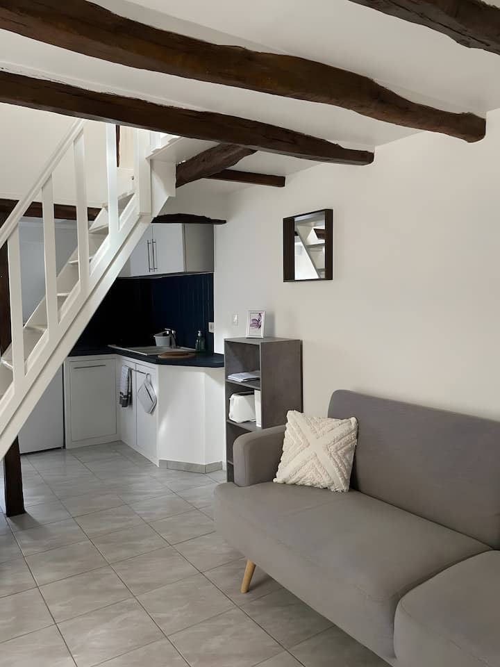 Logement Cosy Centre Joigny - Joigny