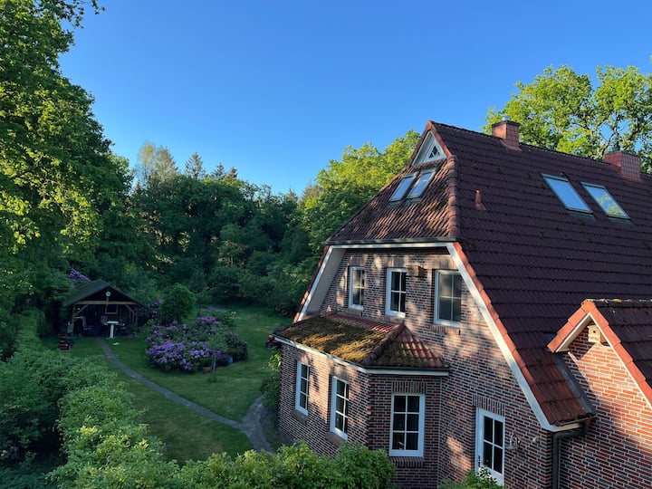 Friesenwald - Friedeburg