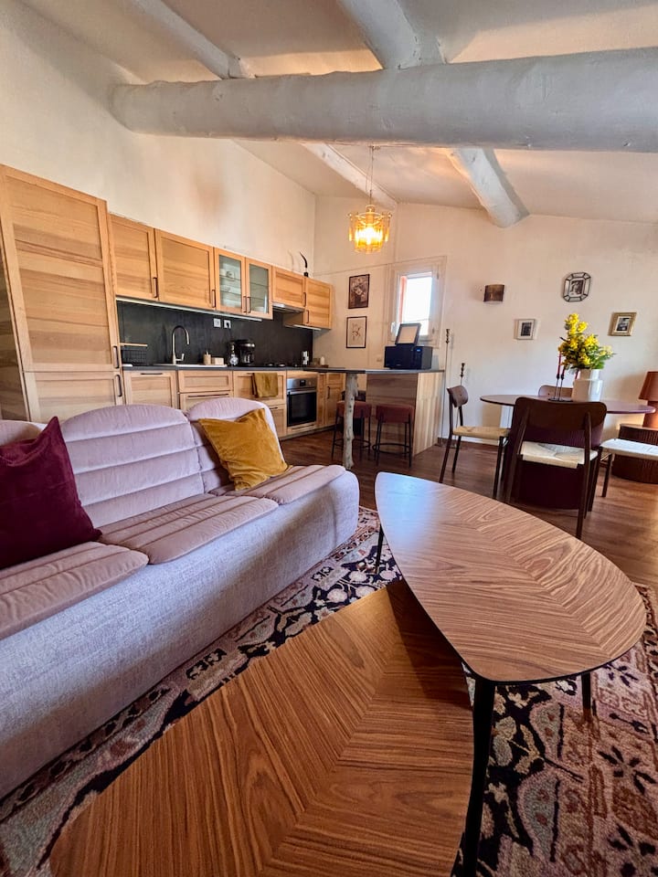 Les Ombres Charmant Duplex En Centre Ville - L'Isle-sur-la-Sorgue