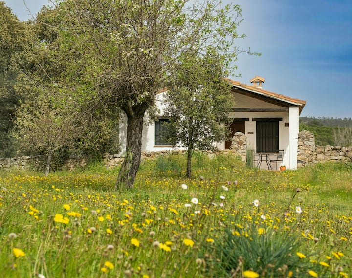 Retreat Among Oak Trees With Mountain Views - Fuenteheridos