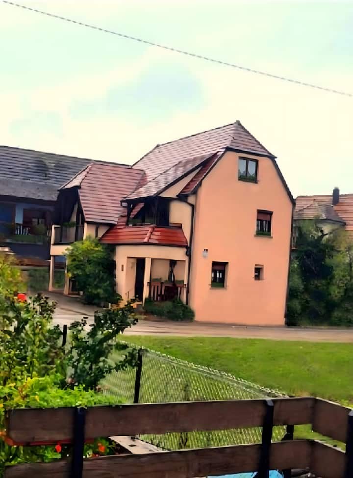 Sur La Route Du Vin - Sélestat