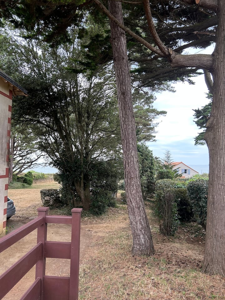 11jos Pornicaise Bord De Mer - Bourgneuf-en-Retz