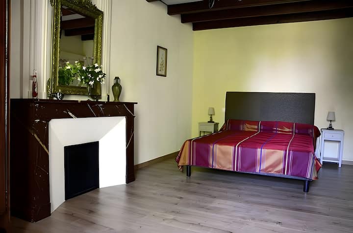 Le Vieux Noyer - Tilleul - Jonzac