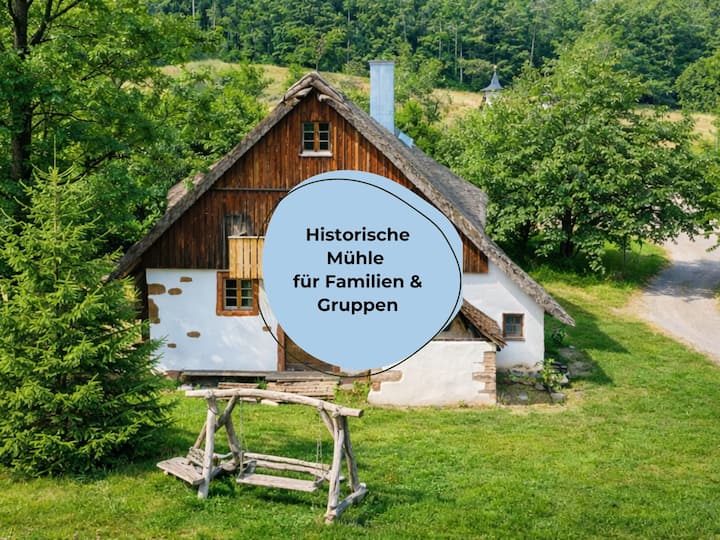 Historische Mühle | Kamin | Hunde | E-lade - Black Forest