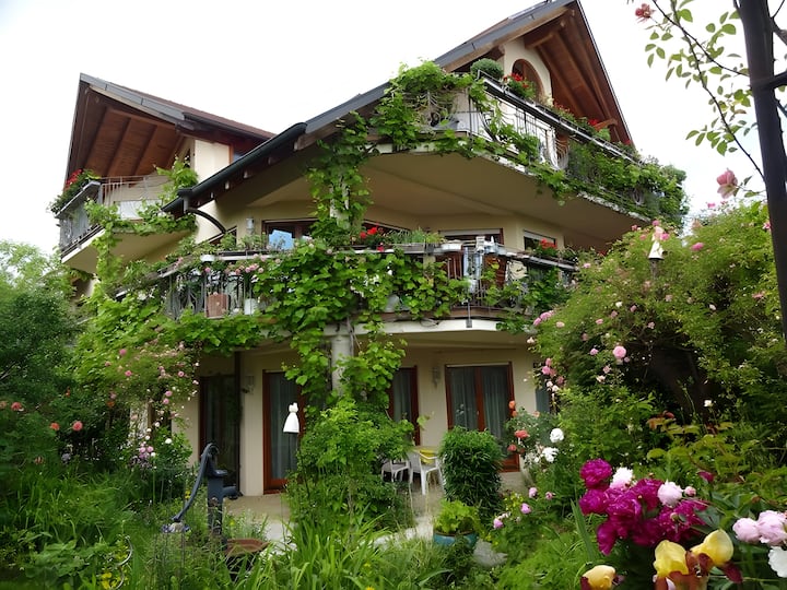 Ferienwohnung Reblaube - Radolfzell am Bodensee